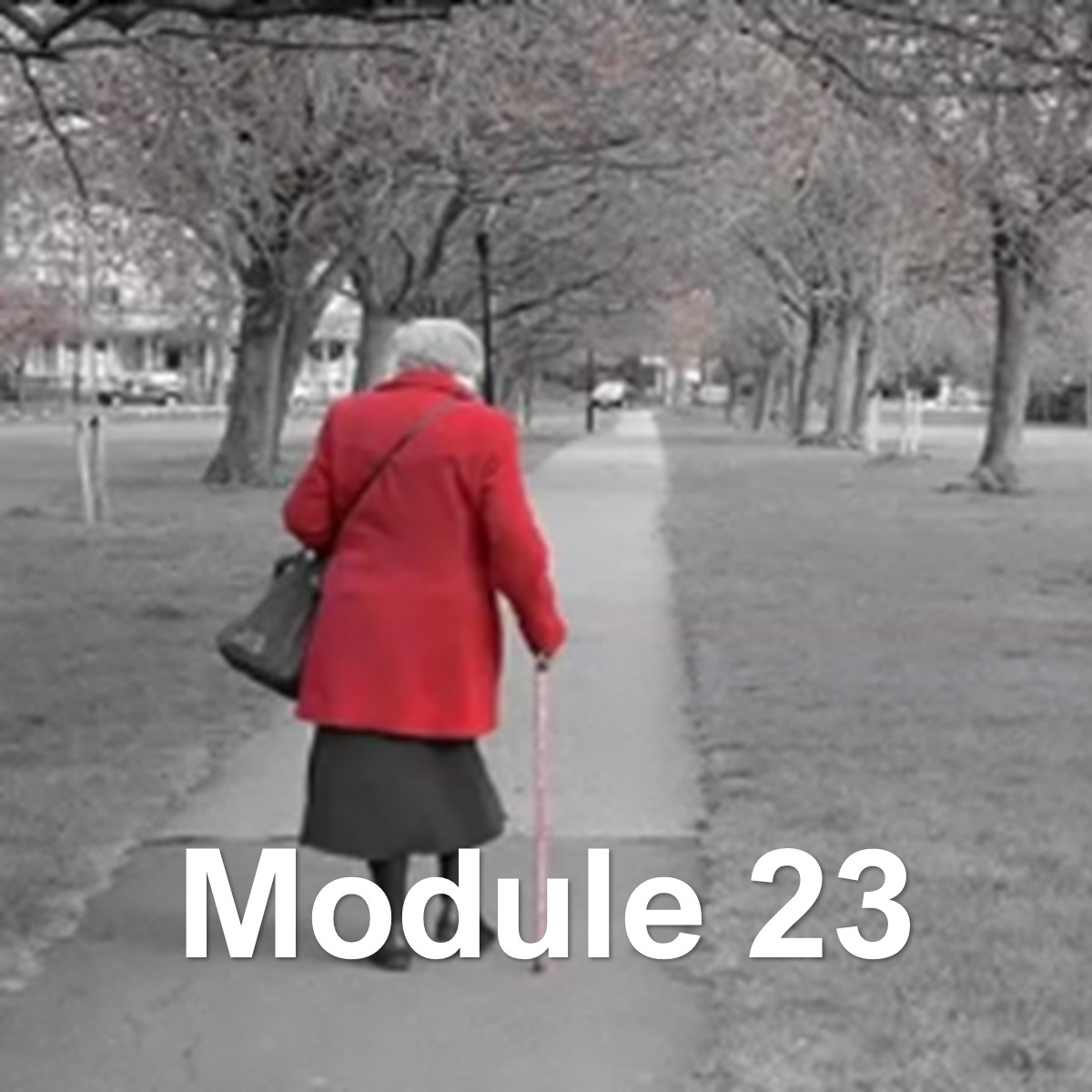 Dementia Course Catalogue – Dementia Training for NH Home Care & Hospice